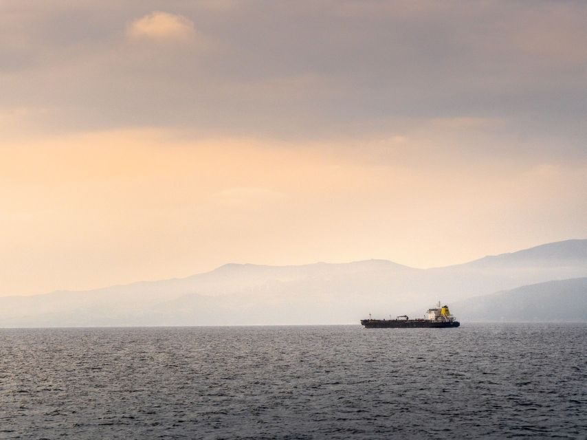 From Costa del Sol: Day Trip to Gibraltar with Guided Tour - What Makes This Tour Stand Out?