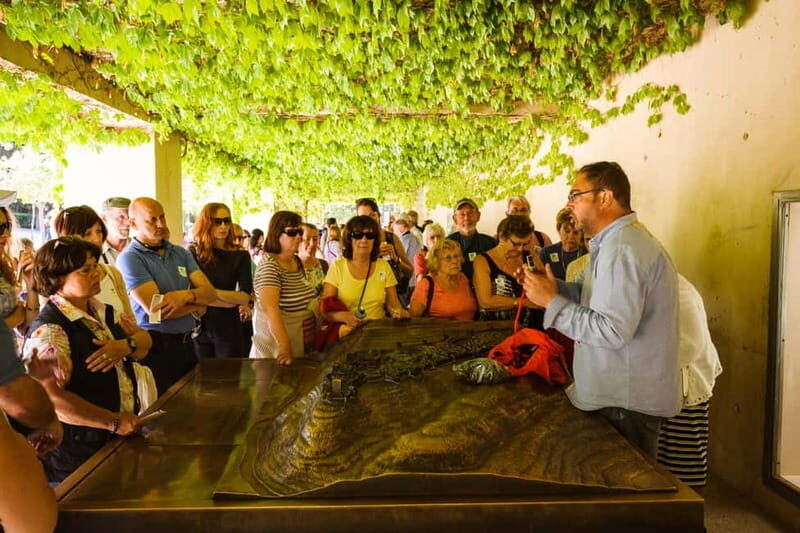 From Costa del Sol: Granada Full-Day Tour - Who Should Consider This Tour?