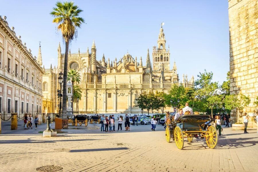 From Costa del Sol: Guided Tour of Seville - Who Would Love This Tour?