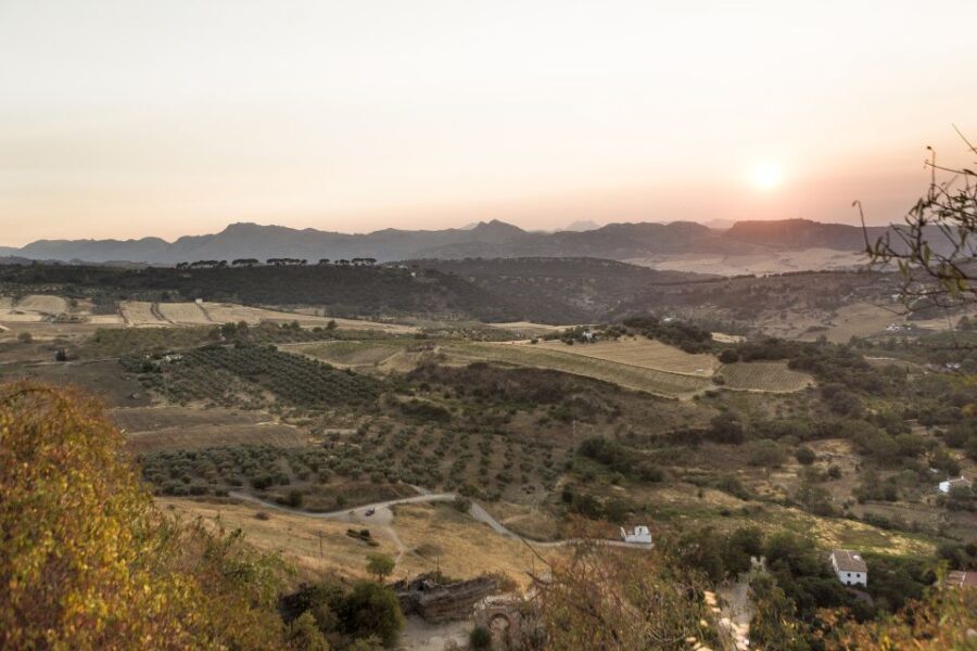 From Costa del Sol: Ronda Village Tour w/ Maestranza Ticket - Discovering Ronda: The Historic Heart of Andalusia
