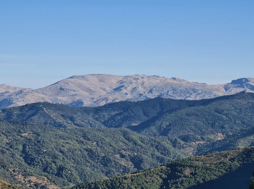 From Costa del Sol: Sierra Bermeja Private Hiking Tour - Why This Tour Is Worth Considering
