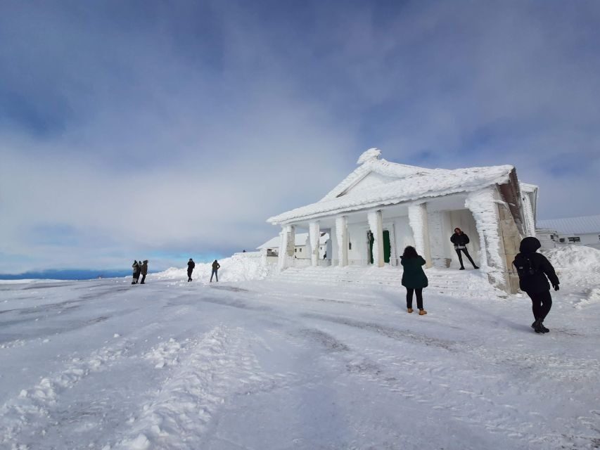 From Covilhã: Tour Serra da Estrela e Covão d'metade - What Are the Key Points?
