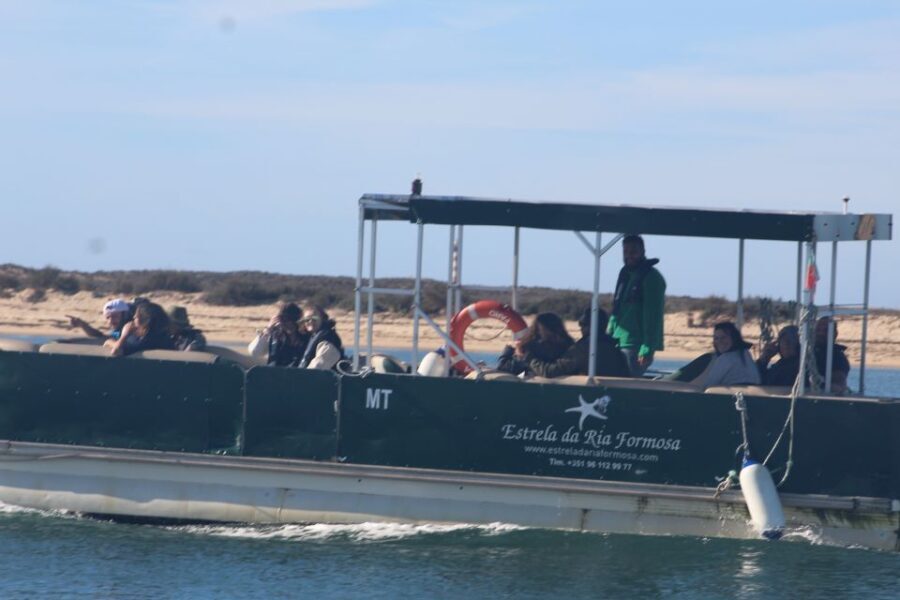 From Faro: 2-Island, 2-Stop Ria Formosa Catamaran Tour - The Itinerary and What to Expect at Each Stop