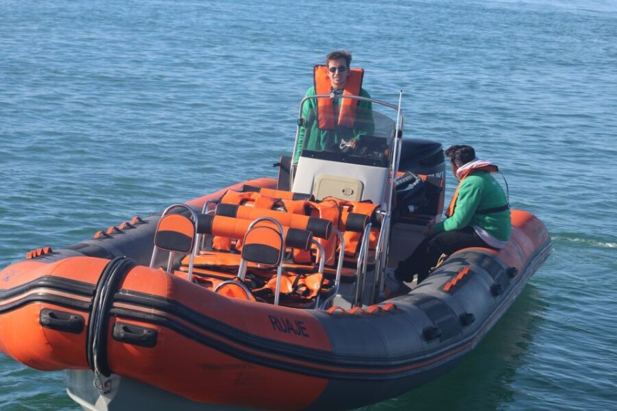 From Faro: Dolphin Watching & 2 Islands Tour - Who Should Consider This Tour?