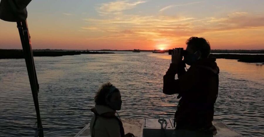 From Faro: Ria Formosa Sunset Boat Trip - Who Would Love This Tour?