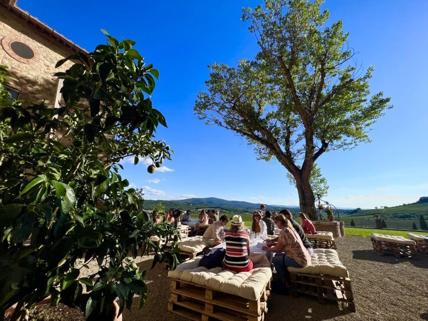 From Florence: Chianti Half-Day Afternoon Tour - Authentic Experiences and Guest Perspectives