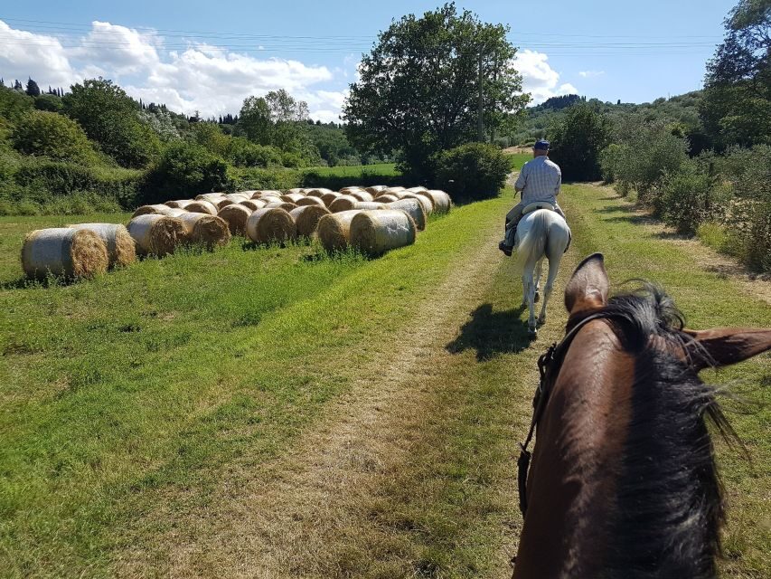 From Florence: Horseback Ride and Olive Oil and food tasting - The Practical Side: What Travelers Should Know