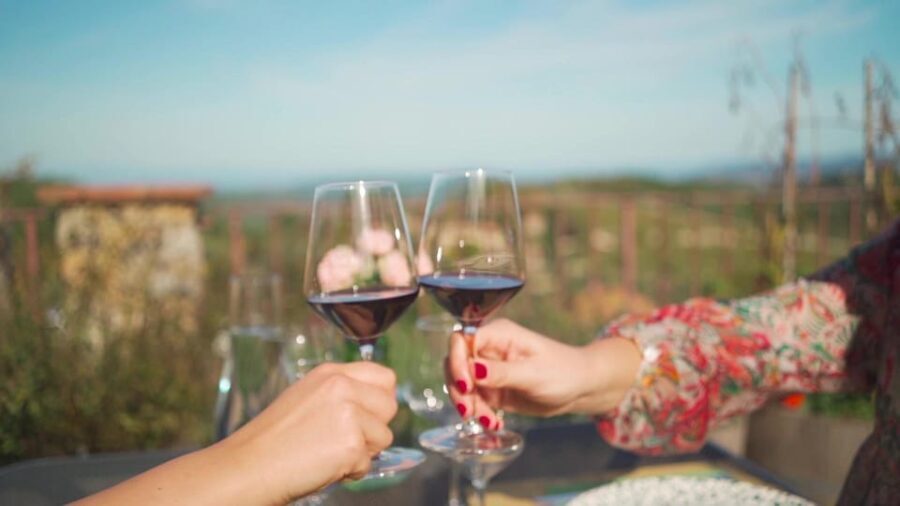 From Florence: Montepulciano, Montalcino & Cortona Day Trip - Practical Considerations and Value