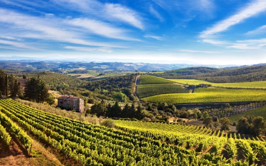 From Florence: Private Half-Day Chianti Tour & Wine Tasting - What’s Included and What’s Not
