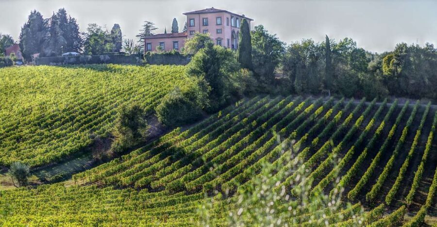 From Florence: PRIVATE Wine Experience in Chianti Classico - Transportation & Timing