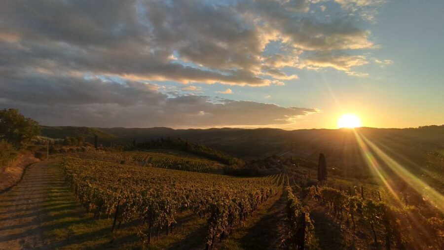 From Florence: Private Wine Tasting Tour in Chianti - First Winery: A Family-Run Gem