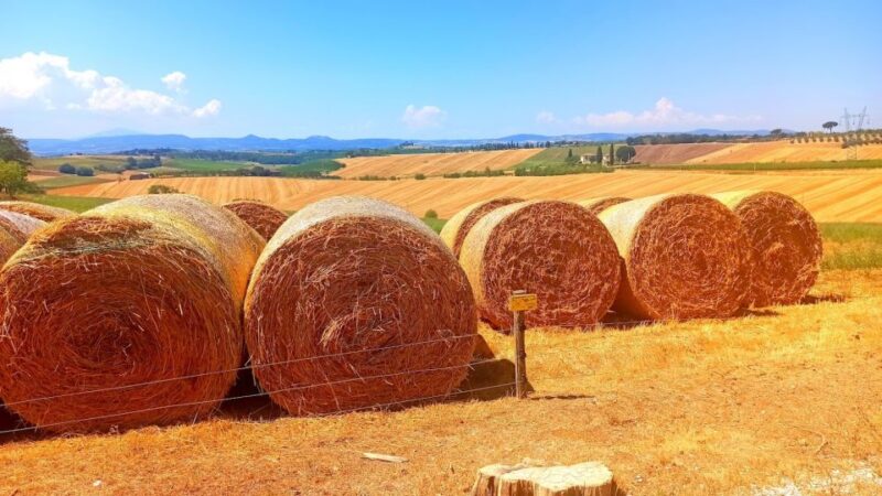 From Florence: "Ramble through the hills of Chanti" - Key Points