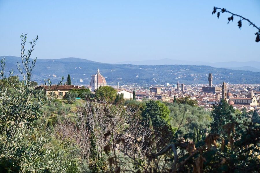 From Florence: Tuscan Hills Biking with Farm Tour and Lunch - What Makes This Tour Special?