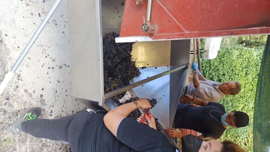 From Florence: Val d'Orcia Region Private Wine Tasting Tour - Detailed Breakdown of the Itinerary