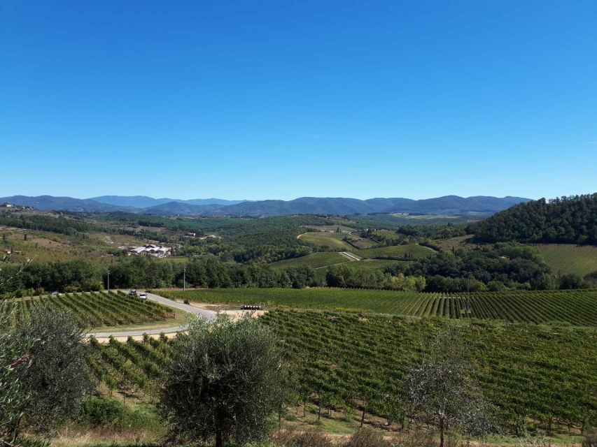 From Florence: Vintage Fiat 500 Chianti & Tuscany Wine Tour - The Itinerary in Detail