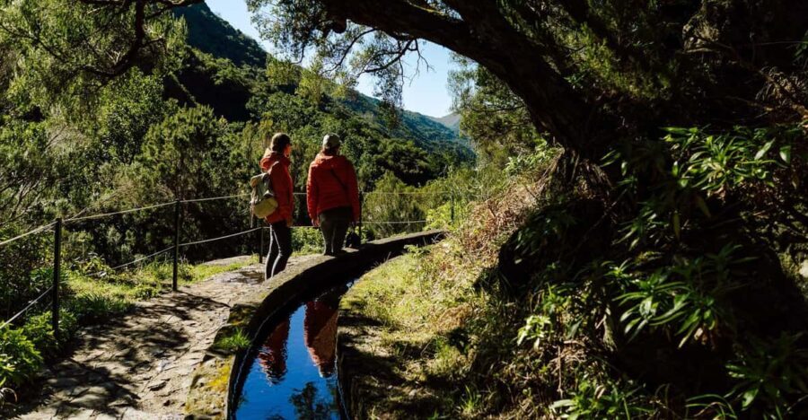 From Funchal/Caniço: Rabaçal Hike (25 Fontes) Bus Transfer - Who Should Consider This Experience?