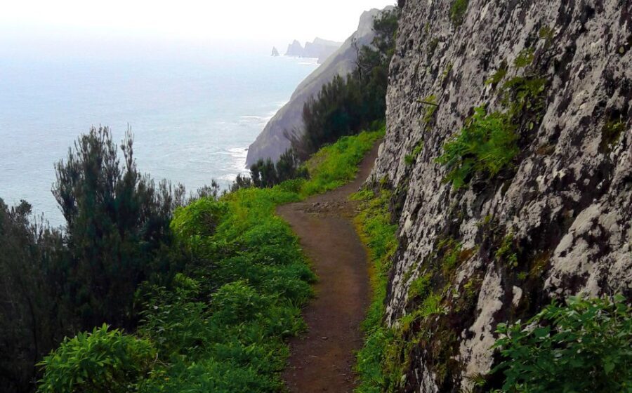 From Funchal: Machico to Porto da Cruz Larano Cliff Hike - The Value of the Experience