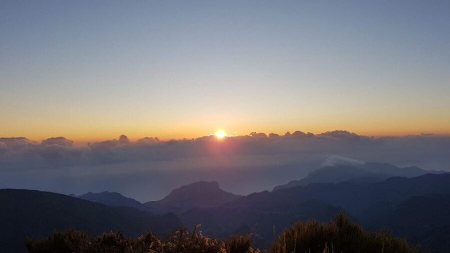 From Funchal: Madeira Island Private Jeep 4x4 Tour - Authentic Experiences and Reviews