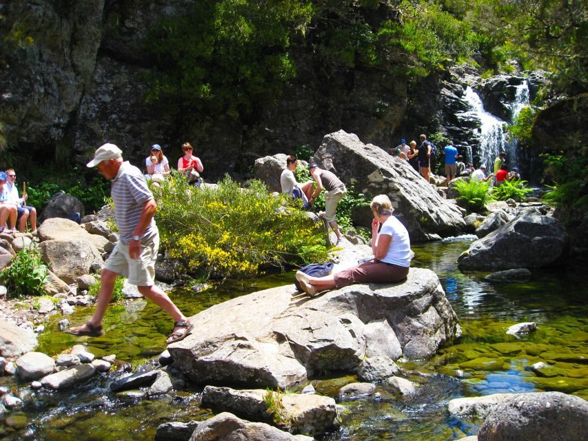 From Funchal: Madeira Lakes Levada Guided Hike - What’s Included and What’s Not