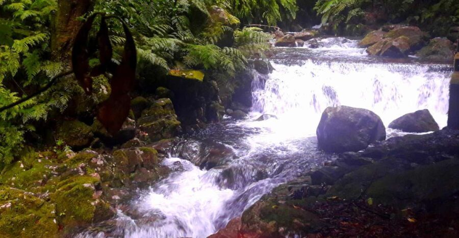 From Funchal: São Jorge Valleys Levada Walk - A Closer Look at the São Jorge Valleys Levada Walk
