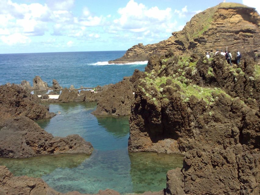 From Funchal: West Madeira Waterfalls and Fanal Forest Tour - Who Would Love This Tour?
