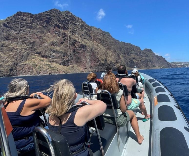 From Funchal: Whale and Dolphin Watching - The Itinerary Breakdown