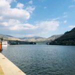 From Gaia Douro Valley Tour Wine Tasting River Cruise Lunch - What We Love & What to Consider