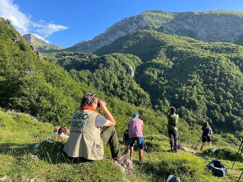 From Gijón, Oviedo or Pola de Somiedo: Brown Bear Spotting - The Equipment and Logistics