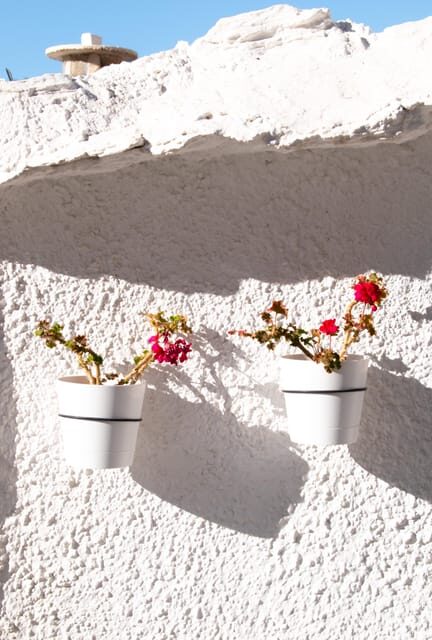 From Granada: Alpujarra Region Full Day Tour - Analyzing the Value