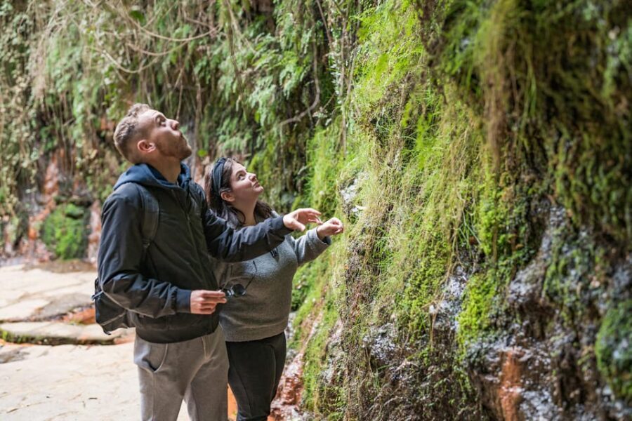 From Granada: Alpujarra Villages Guided Day Tour - Natural Beauty and Cultural Highlights