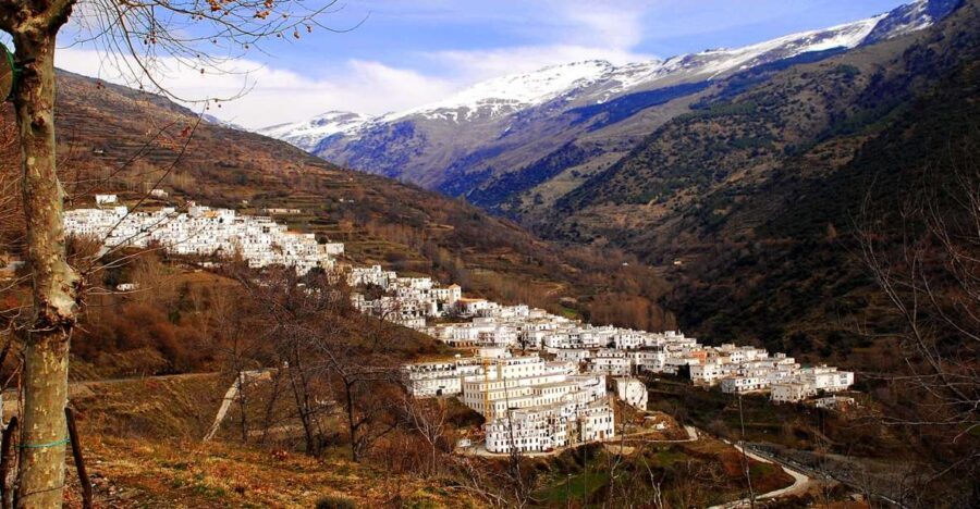 From Granada: Day Trip to Trevélez with Ham Factory - A Complete Look at the Trevélez Day Trip from Granada