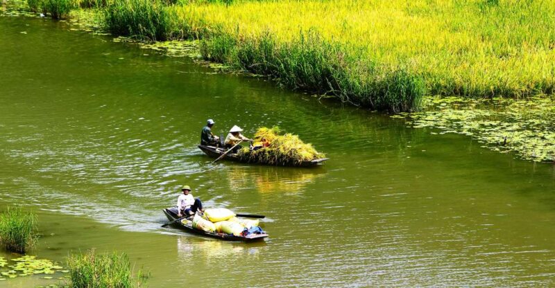 From Hanoi: Ninh Binh Full Day From Hanoi Including Transfer - A Closer Look at the Hanoi to Ninh Binh Experience