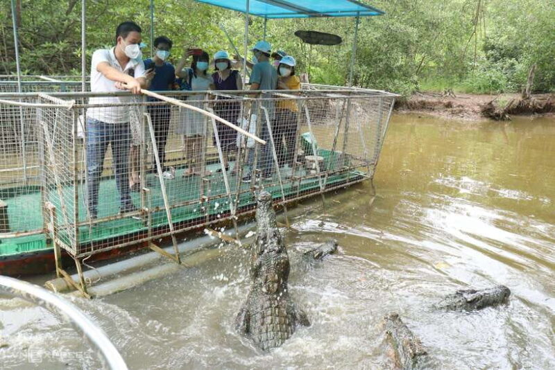 From Ho Chi Minh City: Can Gio Mangrove Forest Day Tour - Exploring the Can Gio Mangrove Forest Day Tour: An Honest Guide