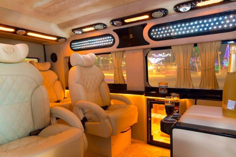 From Ho Chi Minh City: Mekong Delta VIP Tour by Limousine - Key Points