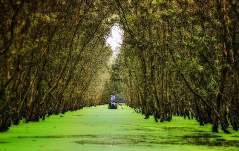 From Ho Chi Minh: Mekong Delta 3-day w Tra Su Forest - Key Points