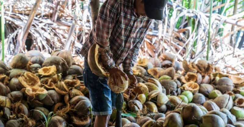 From Ho Chi Minh: Mekong Delta with Ben Tre 1 Day Tour - Key Points