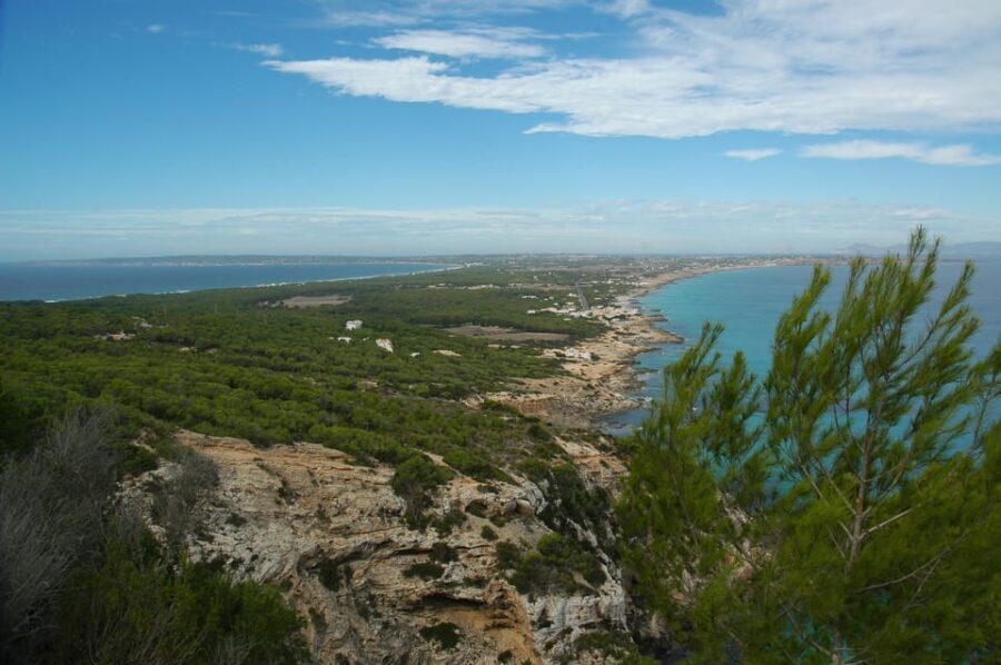 From Ibiza: Ferry and Guided Bus Excursion in Formentera - What to Consider Before Booking