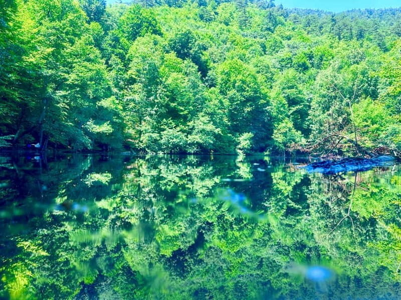 From Isstanbul: 4-Day Private/Shared Western Black Sea Tour - Day 1: Istanbul to Bolu via Sapanca, Ormanya, and Maukiye