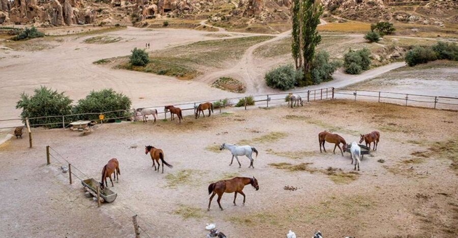 From Istanbul: Cappadocia, Ephesus, & Pamukkale Private Tour - What’s the Value?