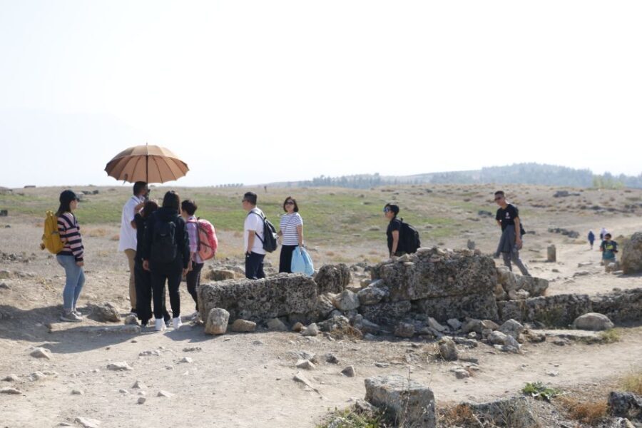 From Istanbul: Ephesus and Pamukkale 2-Day Trip - Transportation and Group Dynamics