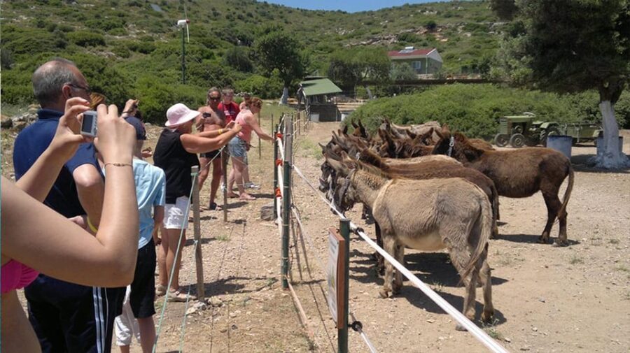 From Izmir: Full Day Boat Trip around Cesme with BBQ Lunch - What Could Be Better?