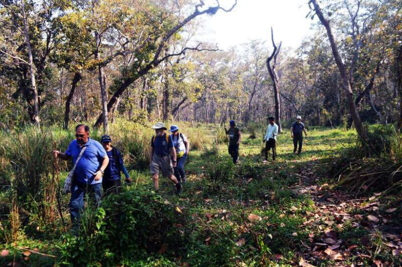 From Kathmandu/Pokhara: 2, 3, or 4-Day Chitwan Jungle Safari - Key Points
