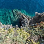 From La Spezia: Cinque Terre Boat Tour - Practical Details and What They Mean for You