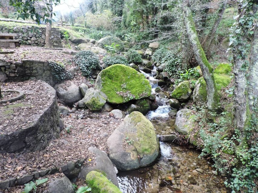 From Lagos: Monchique Private Guided Hike + Medronho Tasting - Why This Tour Offers Great Value