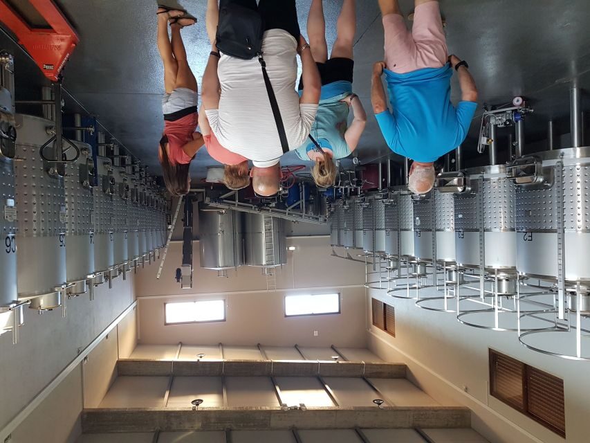 From Lagos: Private Algarve Wineries Tour with Tastings - Final Thoughts