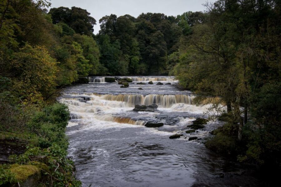From Lake District: Full-Day Yorkshire Dales Tour - What Makes This Tour Stand Out?