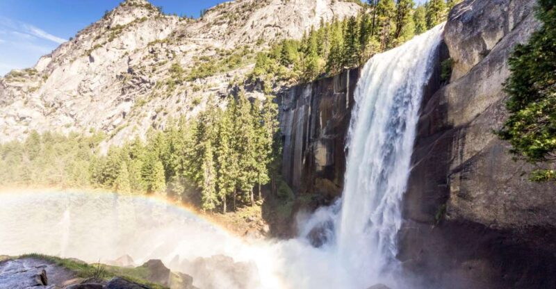From Lake Tahoe: Yosemite National Park Day Trip with Lunch - Key Points