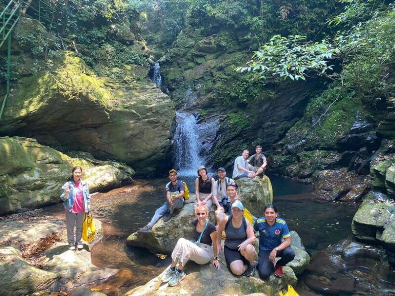 From Lang Co Beach/ Chan May Port: Bach Ma Trekking Tour - Key Points