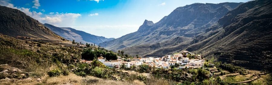 From Las Palmas: Fataga, Finca de Aloe Vera and Mercado Puerto de Mogán - The Viewpoint: Scenic Highlights