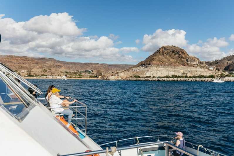 From Las Palmas: Highlights of Gran Canaria Day Tour - Puerto Rico and the Optional Boat Trip